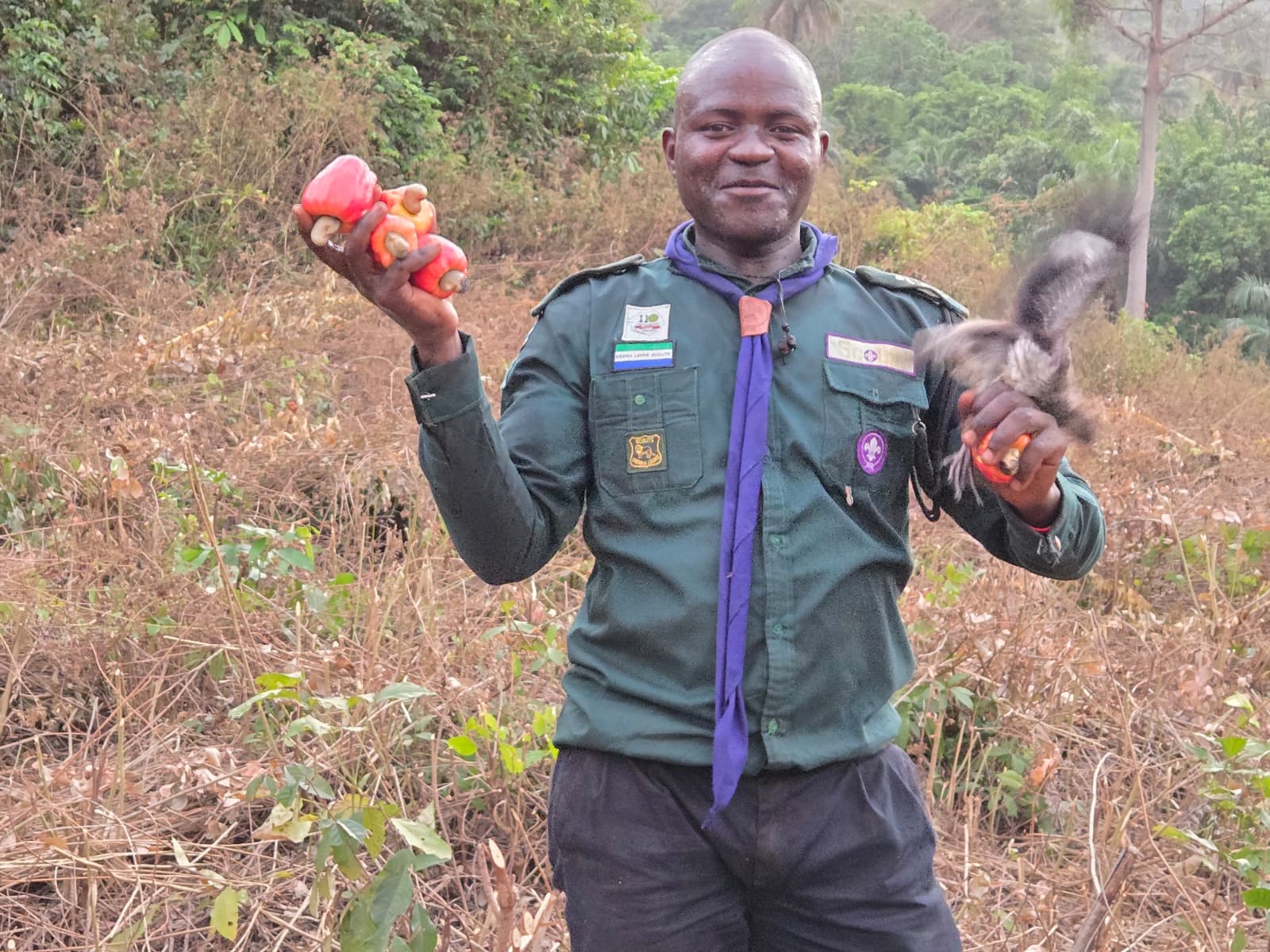 About PCCNI - People Centred Cashew Nut Initiative